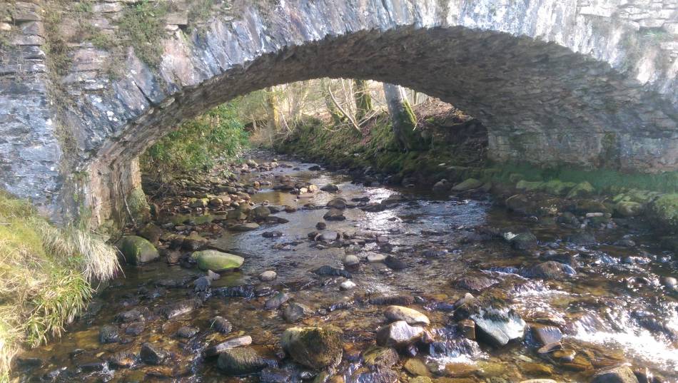 Gallery - The Creggans Inn, Strachur, Loch Fyne, Argyll.