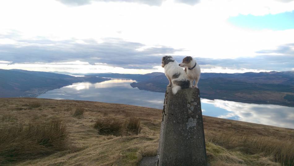 Gallery - The Creggans Inn, Strachur, Loch Fyne, Argyll.