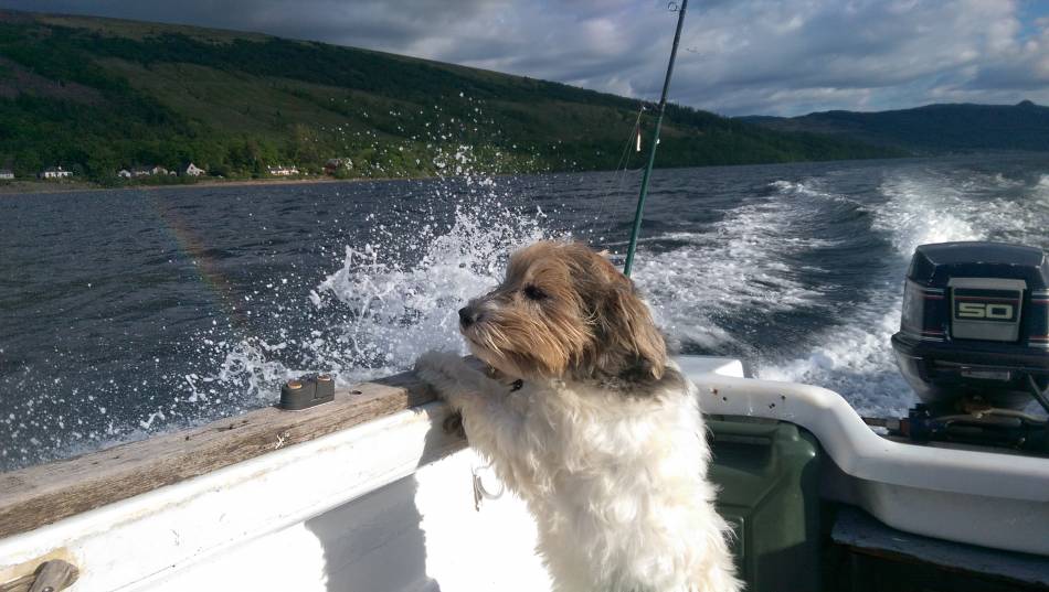 Gallery - The Creggans Inn, Strachur, Loch Fyne, Argyll.